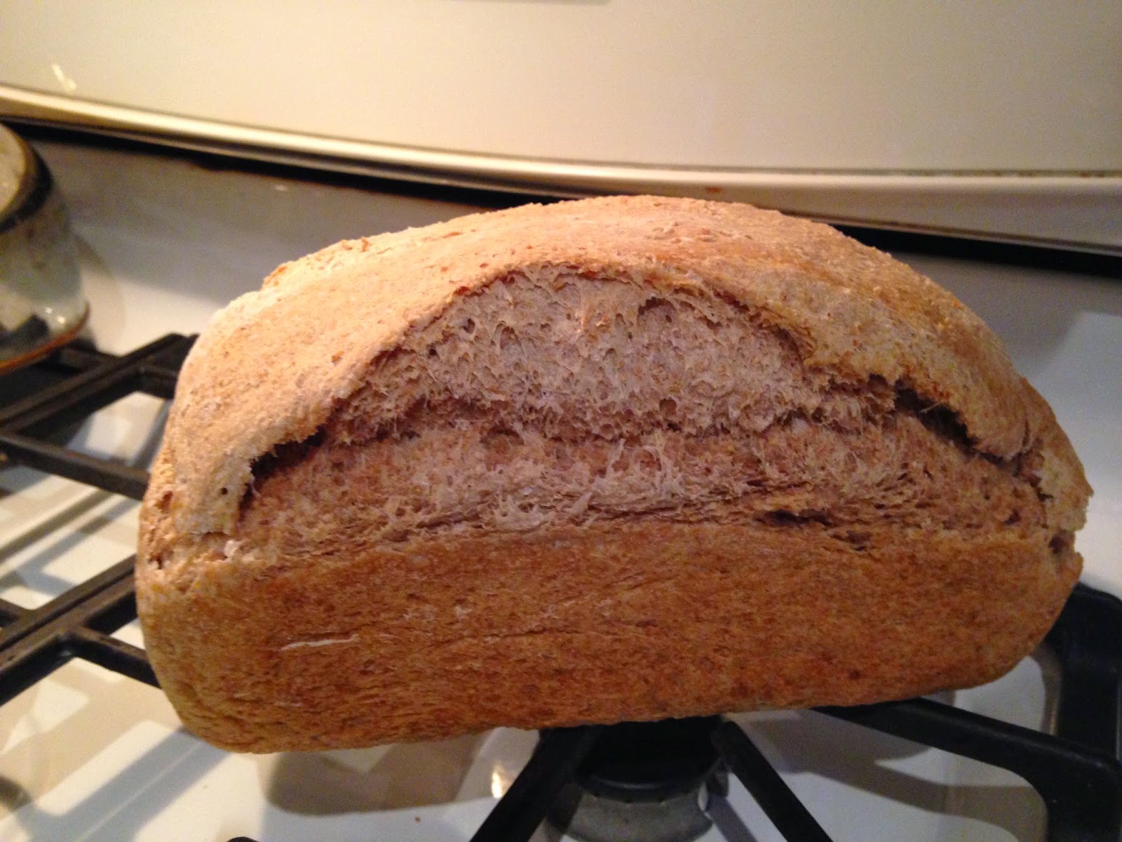 108 Breads: Bread - Number 60: Kasha Bread a Nifty Taste