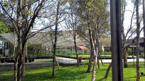 Kuntum Farm Field Bogor ~ Inspirasi Tanpa Batas