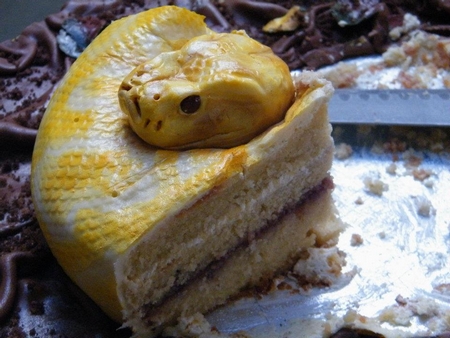 Azwar weBlog: Whoa! Super Realistic Kue Tart Ular Pyton [Foto]