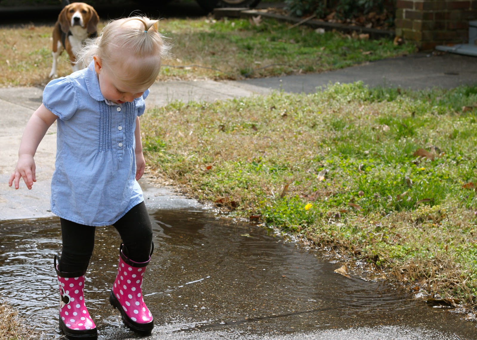 Accelerated Baby: Puddle Jumping