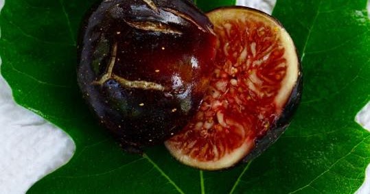Figs Photo Collection Around the World: CONSELLERA NEGRA Figs