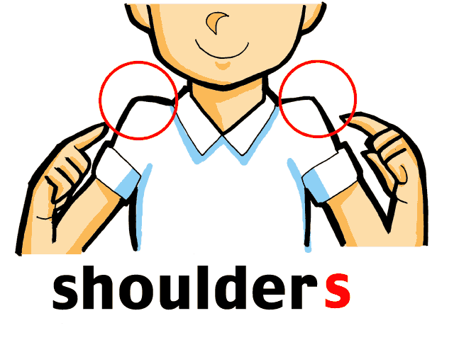 Lengua Inglesa: Who we are (WEEK 4):