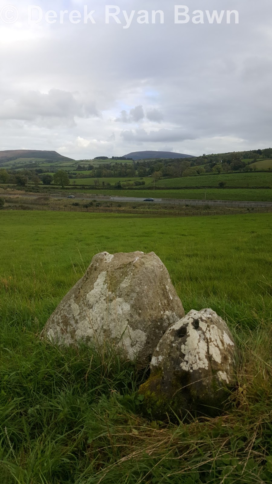 The Tipperary Antiquarian: Cappadine Standing Stone