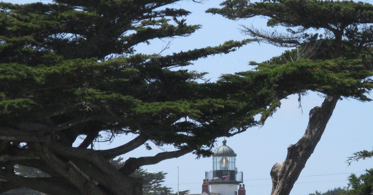 Fun Tour Guru Goes Off the Beaten Path: Point Pinos Lighthouse ...