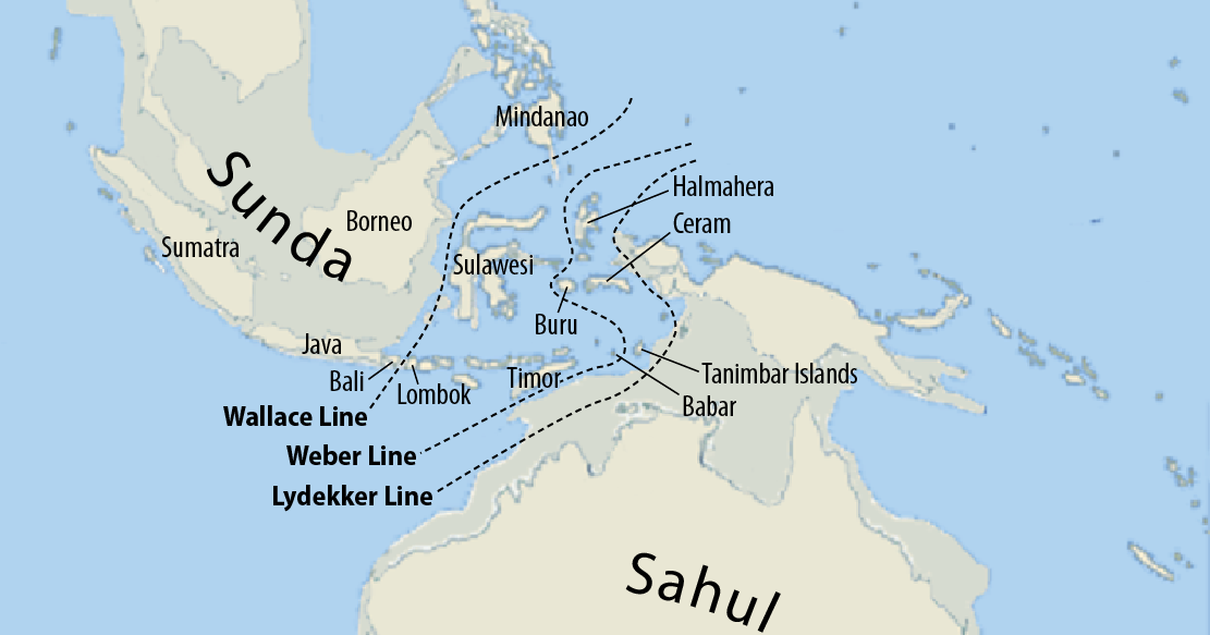 Paper Elemental: Map: Ice Age Sundaland