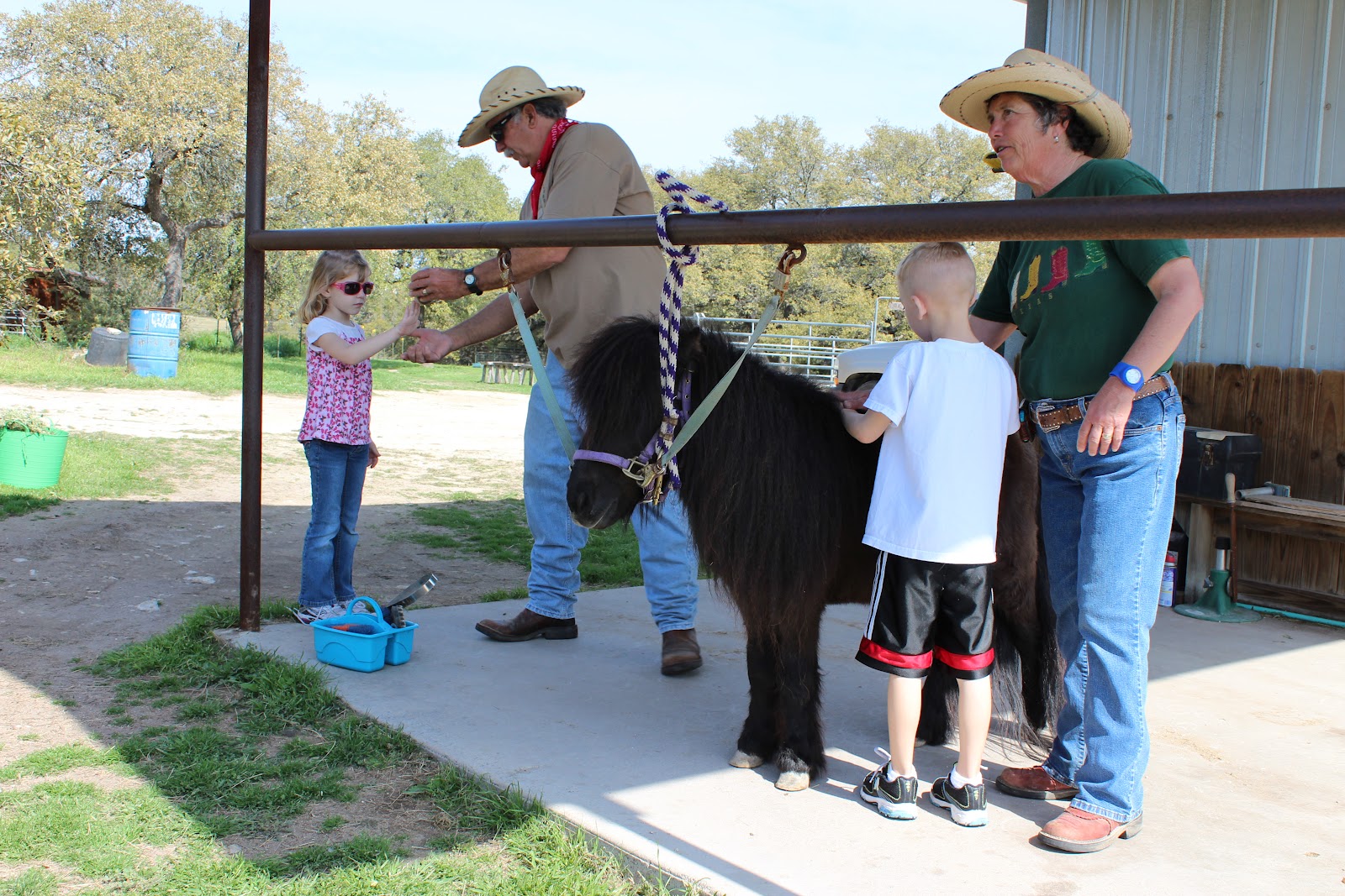 Little Buckaroo Ranch