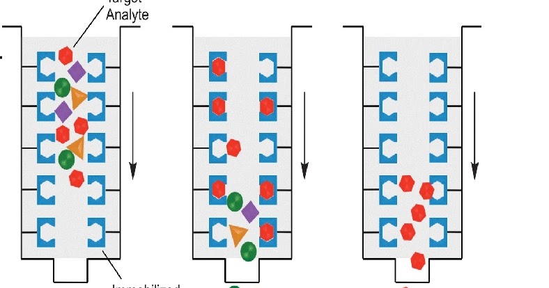 Affinity Chromatography Ligand