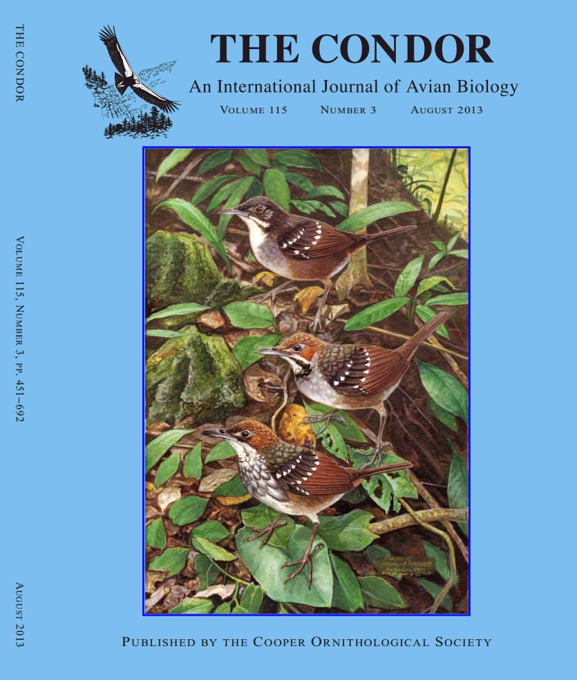 Species New to Science: [Ornithology • 2013] Phylogeography of the ...