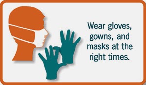 2007 Guideline for Isolation Precautions: Preventing Transmission of ...