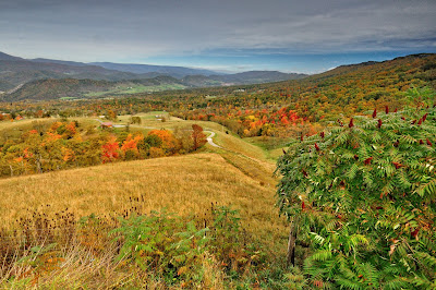 Discover West Virginia: Germany Valley Overlook Cabins