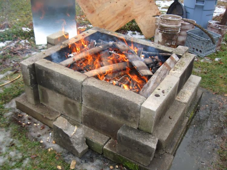 Julie Branch: Pigeons