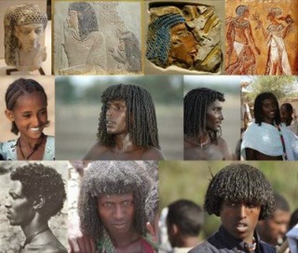 Introduction: The Great Migration of Cush