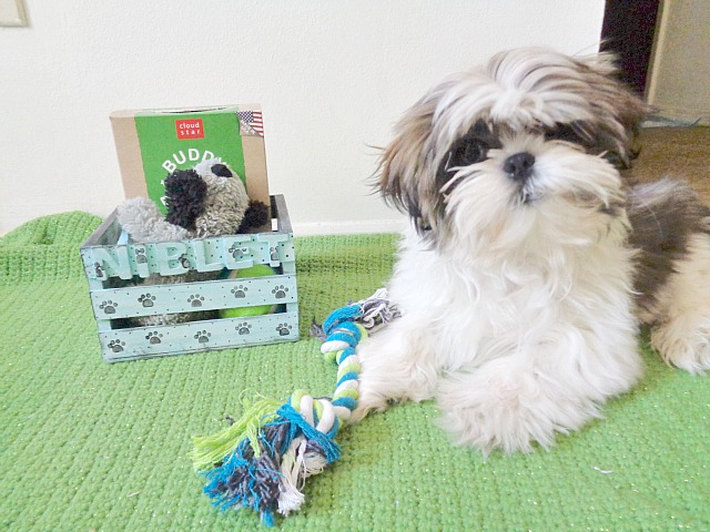 DIY: New Puppy Gift Set - Running With A Glue Gun