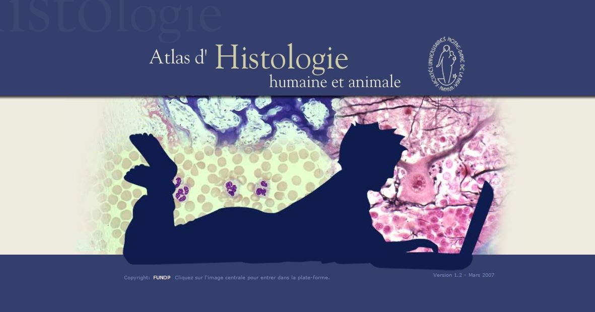 Atlas d'Histologie Humaine et animale