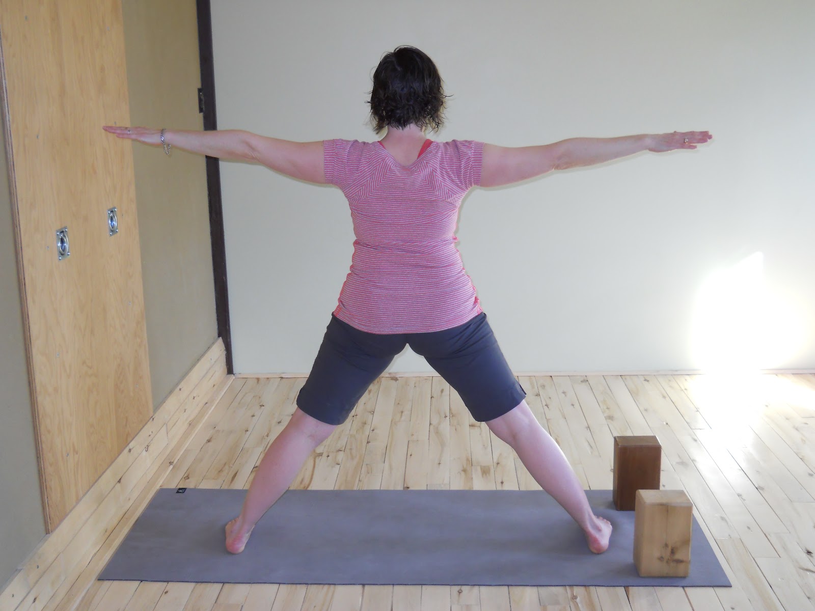 PLN Yoga Studio - Pamela Nelson: April Pose of the Month - Parsvottanasana