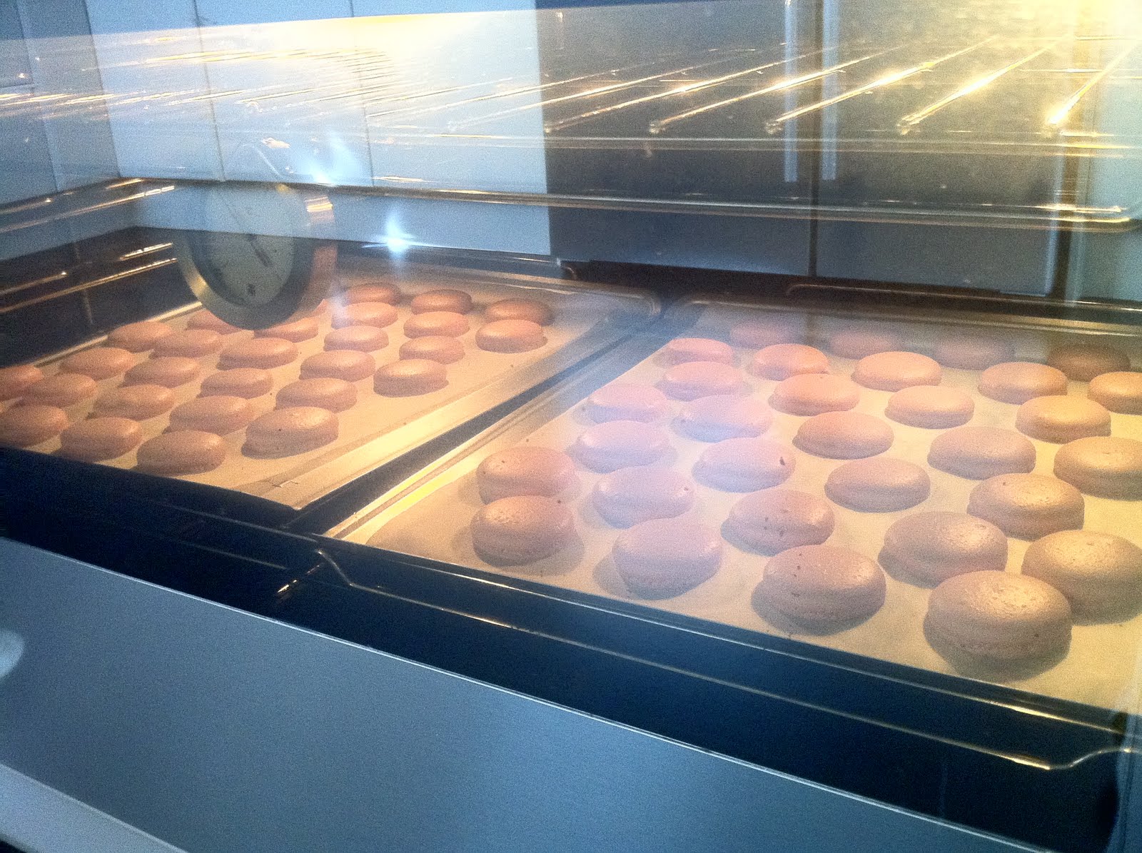 Team JJ's Bakery: Macarons for J's colleagues
