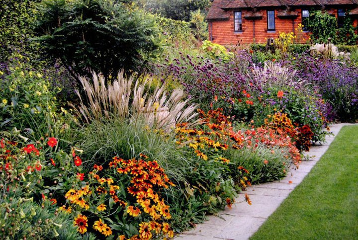 ..take me for a ride: ala volim smilje i bosilje, katmer, kadifice ...