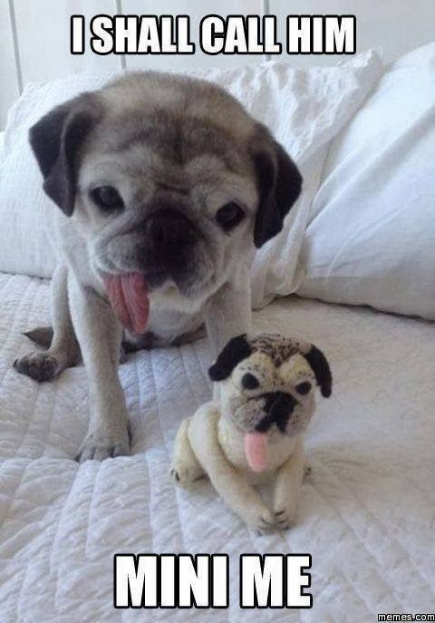 I shall call him mini me