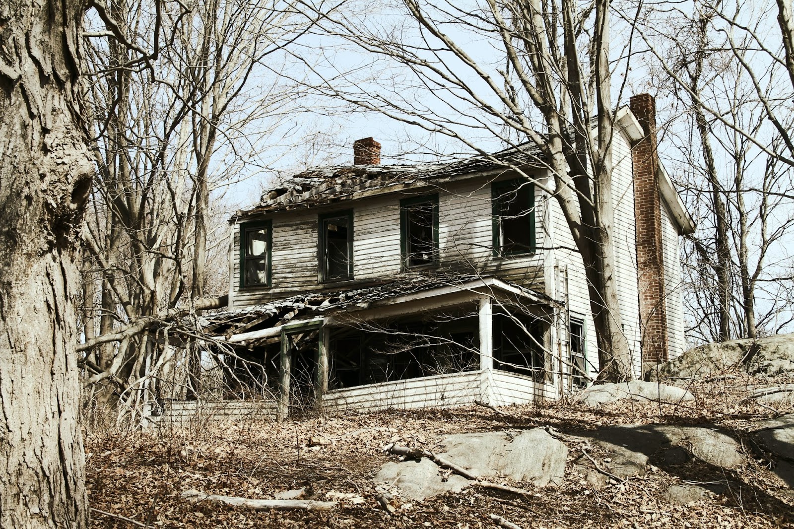 Would you come with me if I asked? – This Old House 2