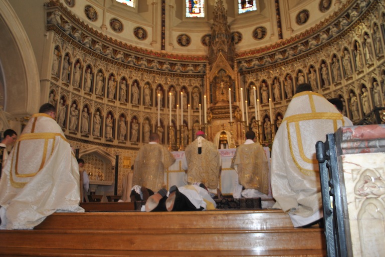 Missa Gregoriana no Mundo . BEAT0 CARLO ACUTIS: Brother Nicholas ...