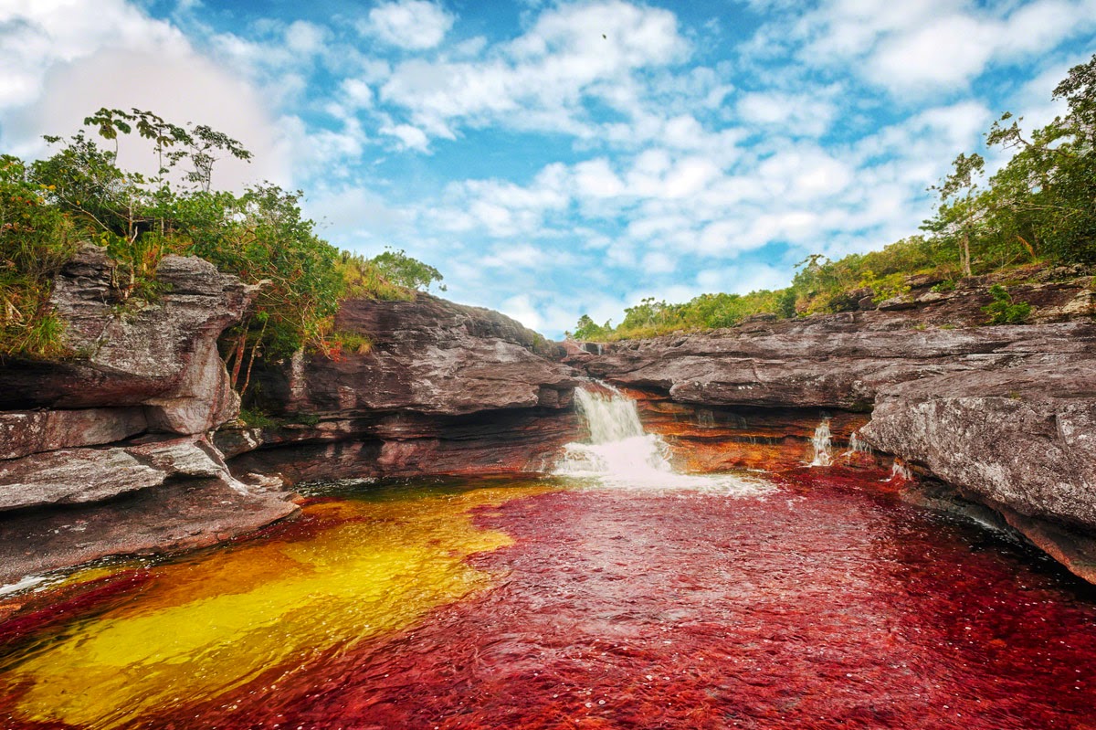 Viaje por Colombia: Caño Cristales - Crystal Spout / Colombia Travel