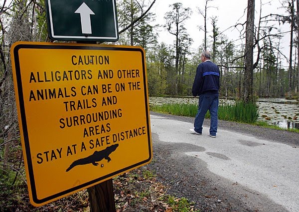 Caution Ironic Signs