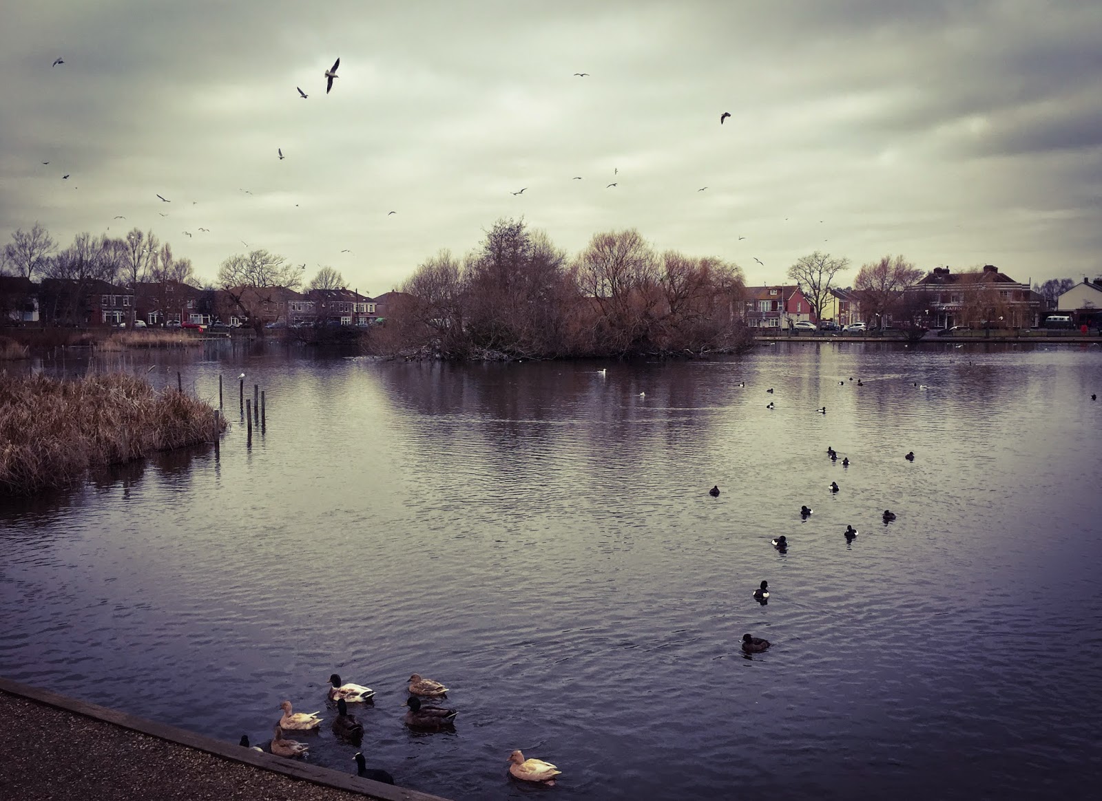 Lagoan Isles, Negara di Dalam Kota - Kompasiana.com