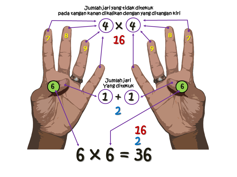 Pengetahuan: Jarimatika