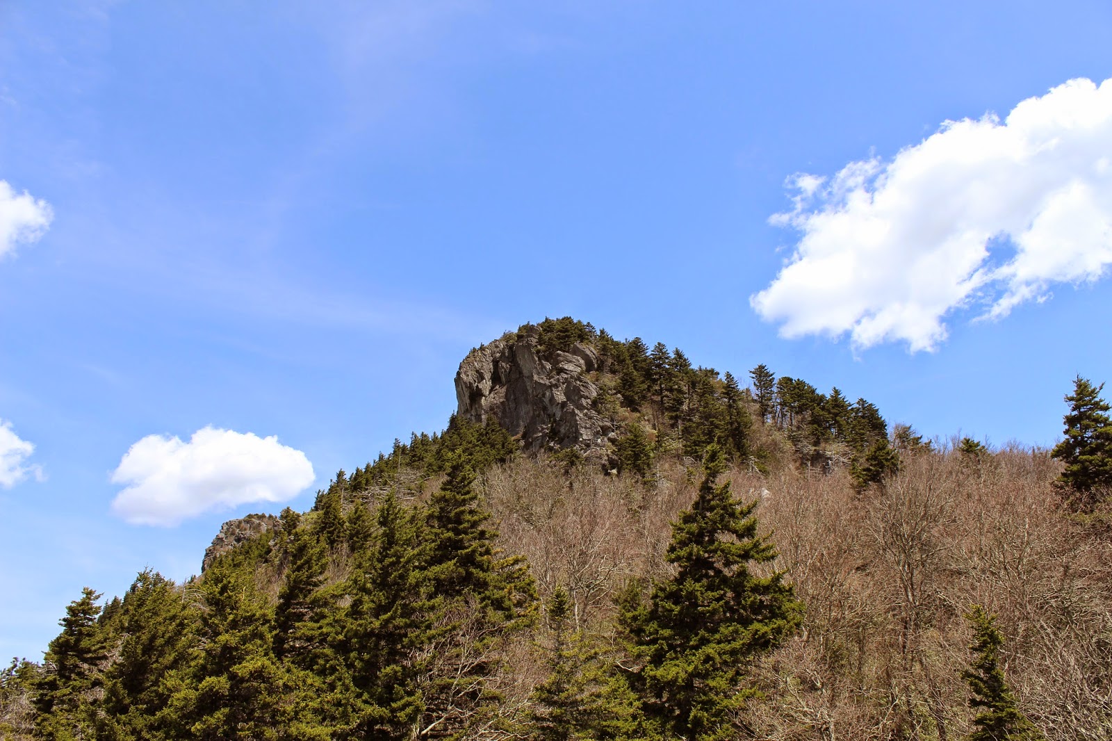 Black Forest Bushcraft: Photography