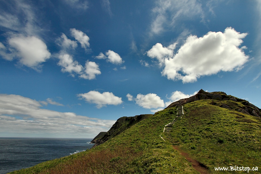 Bitstop: Torbay Point