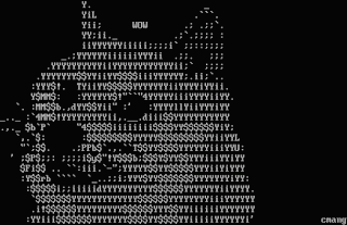 Reflections Of The Void