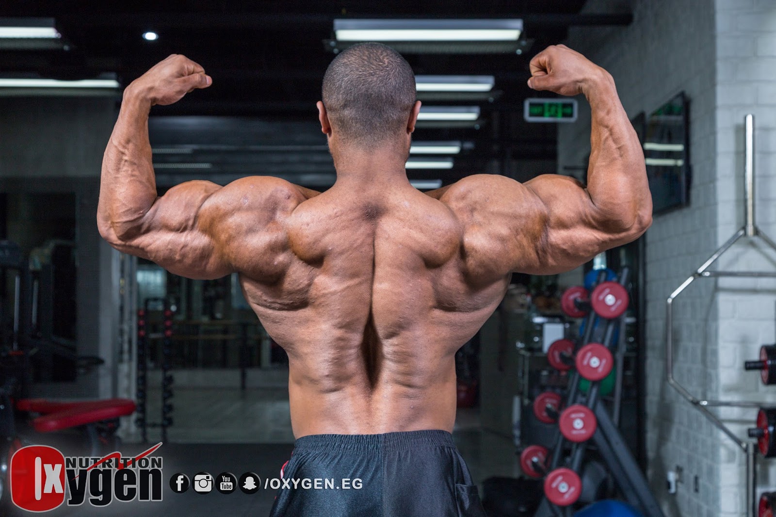 Muscle Lover: Egyptian IFBB Pro bodybuilder Ahmed Shams