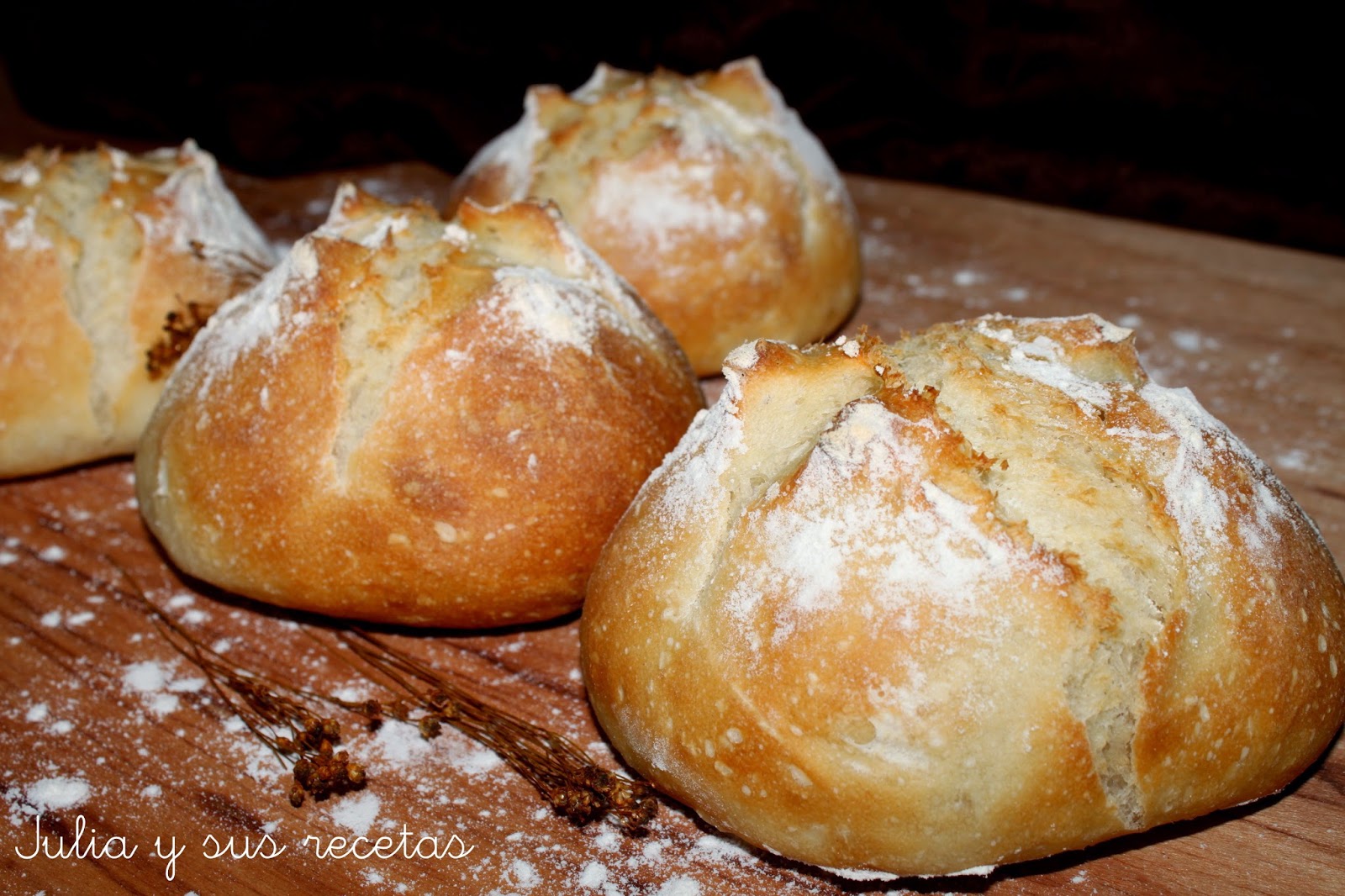 Bollos con sabor a pan de siempre, sin amasado — Thermofan