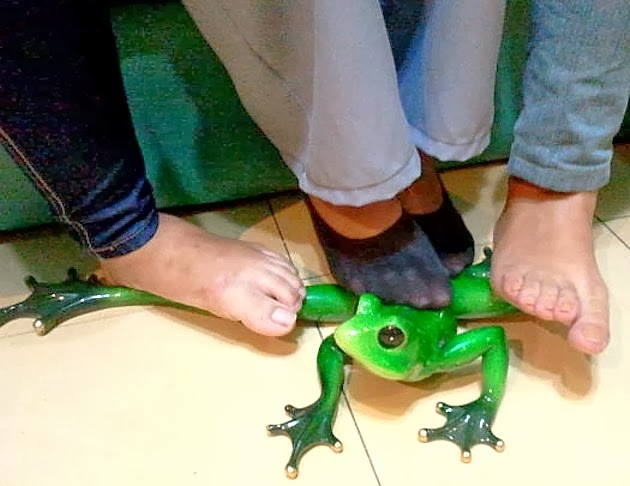 Randy Dellosa: Yahoo!: Animal Crushing Videos (life coach, counselor ...