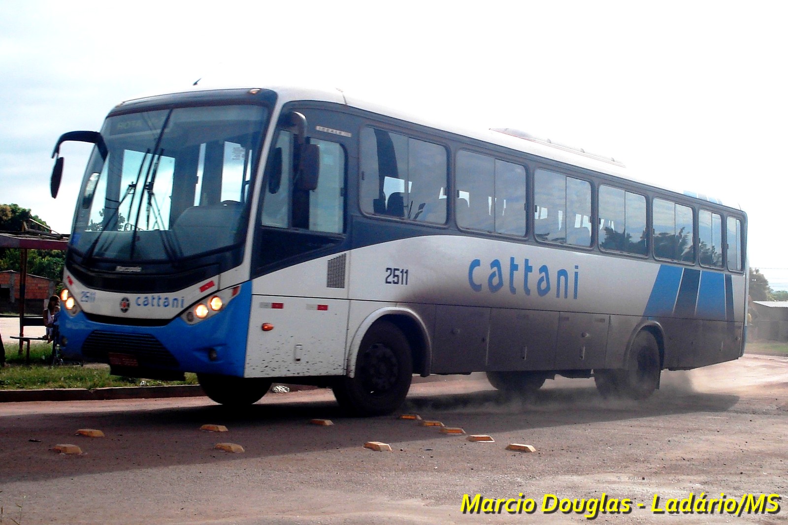 Expresso Bus: Cattani 2511