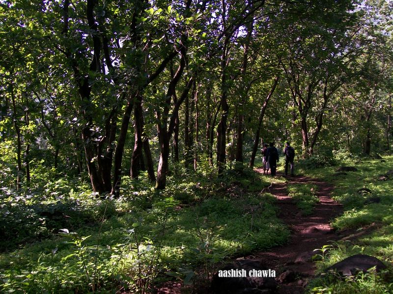 Trekking Moments: Ahupe Ghat Trek