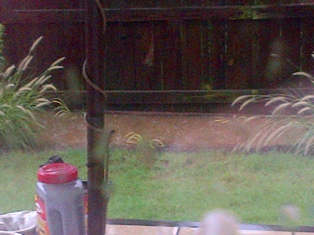 My Review of Southern Signature Landscape LLC