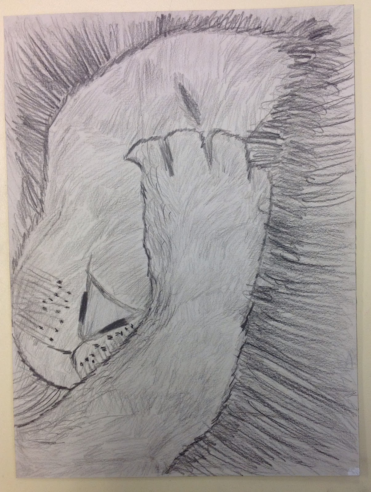 FURRY FELINES - Texture Drawing