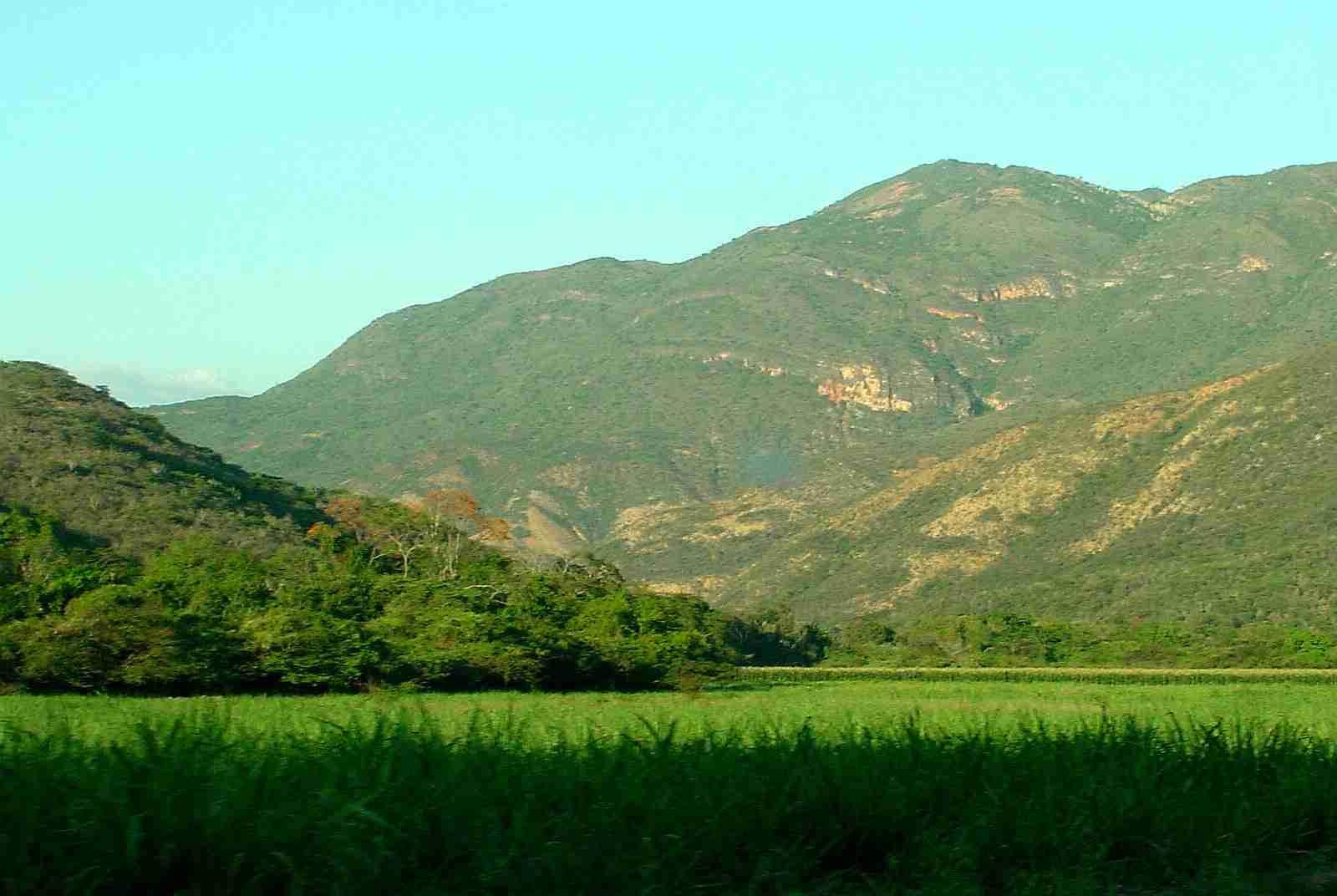 Valles y Serranías de Falcón, Lara y Yaracuy