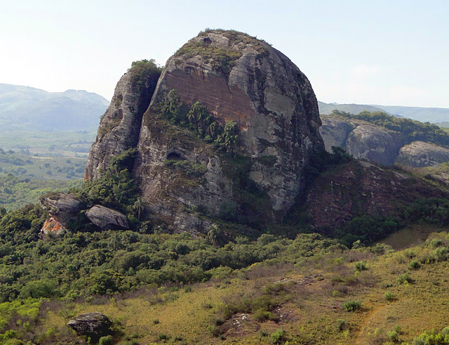 FLORA AUSTRAL: PEDRA DO SEGREDO, CAÇAPAVA DO SUL, RS, BRAZIL