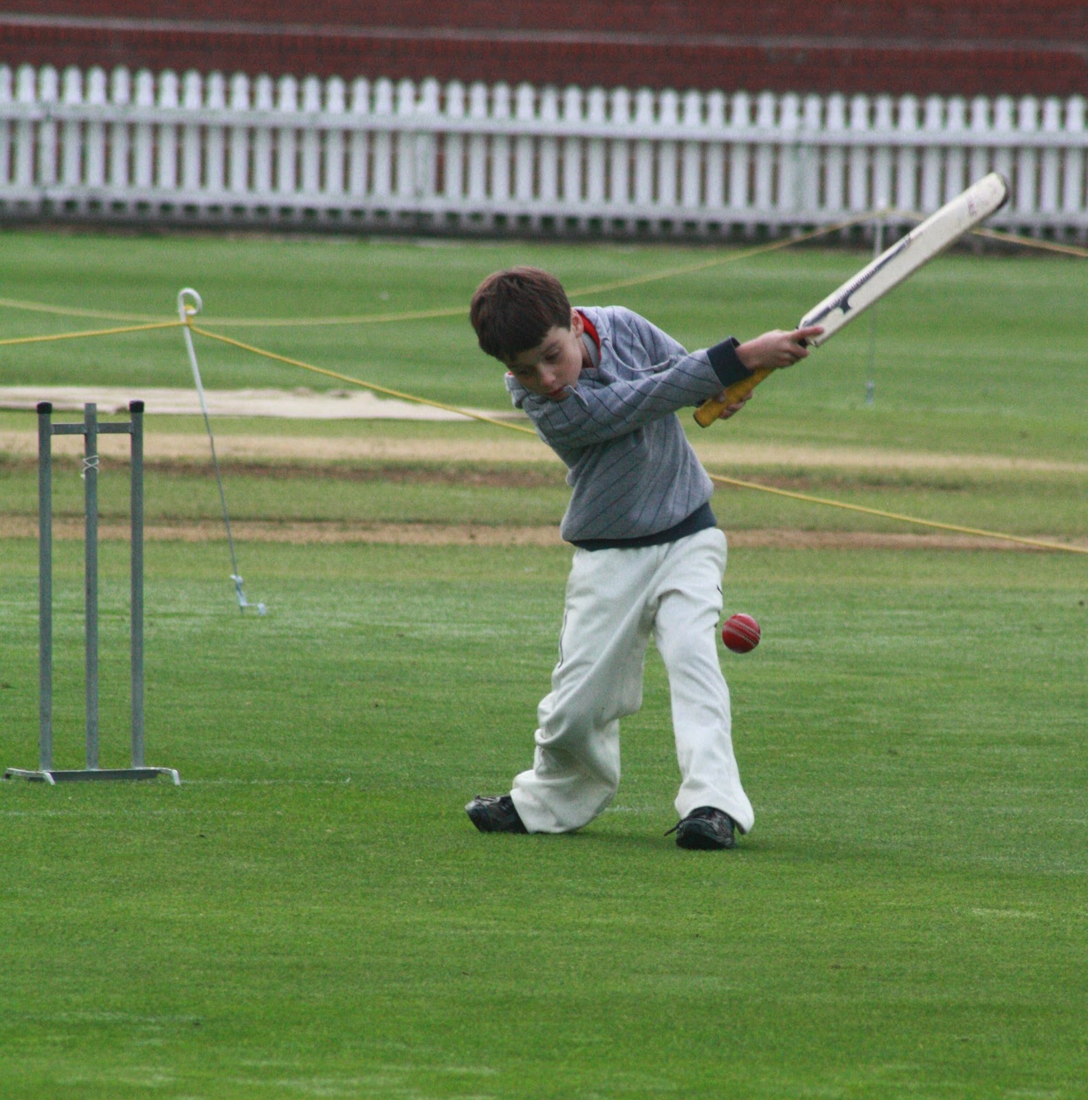 My week in pictures: Kids Cricket