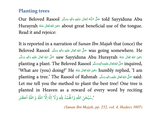 Method Of Planting Trees In (Jannah) Heaven | Islam Library Pk