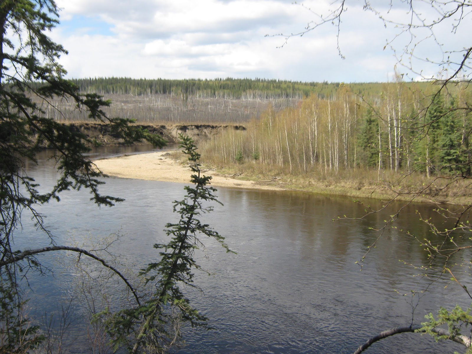 Chef Gurl's Central Alaska Adventure: Crooked Creek