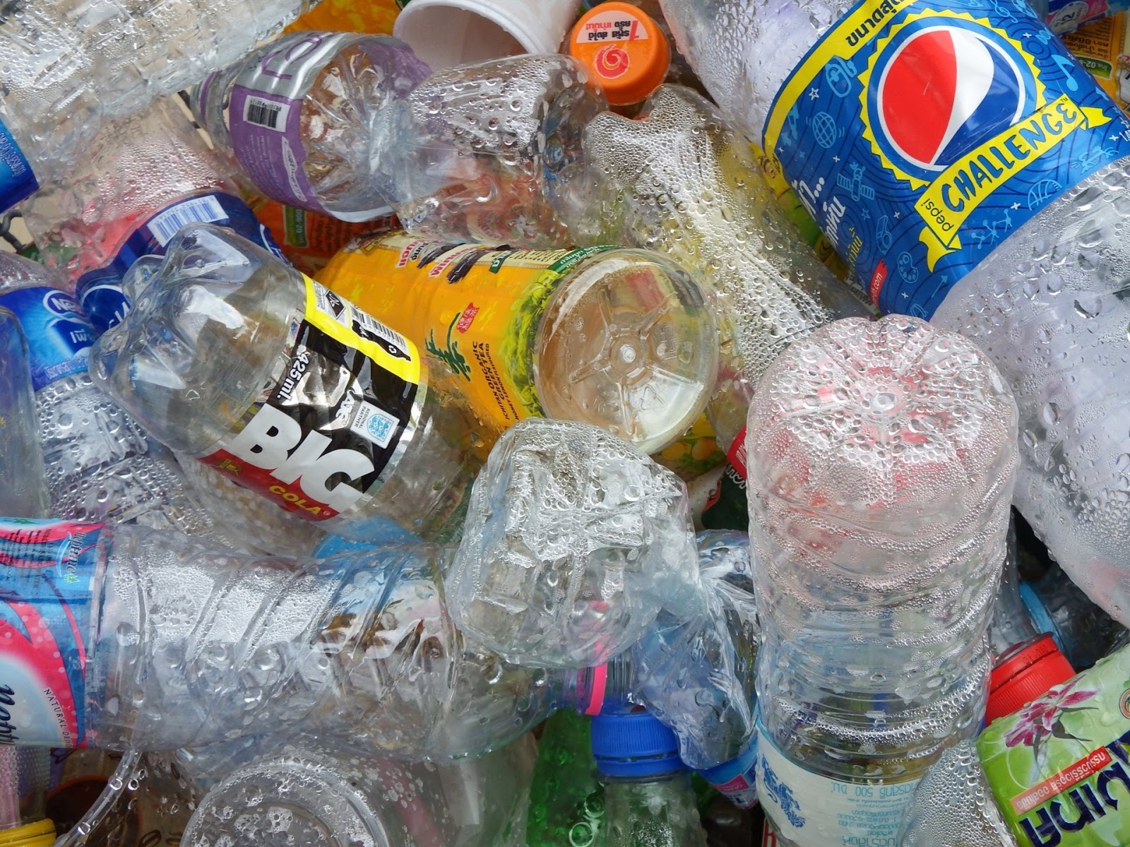 Dr. Brandon Heath: 7 Ways Plastics Damage the Body
