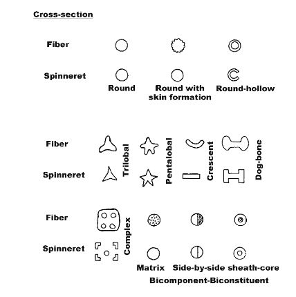 Textile Solution BD: FORMATION AND MORPHOLOGY OF TEXTILE FIBER (Fiber ...