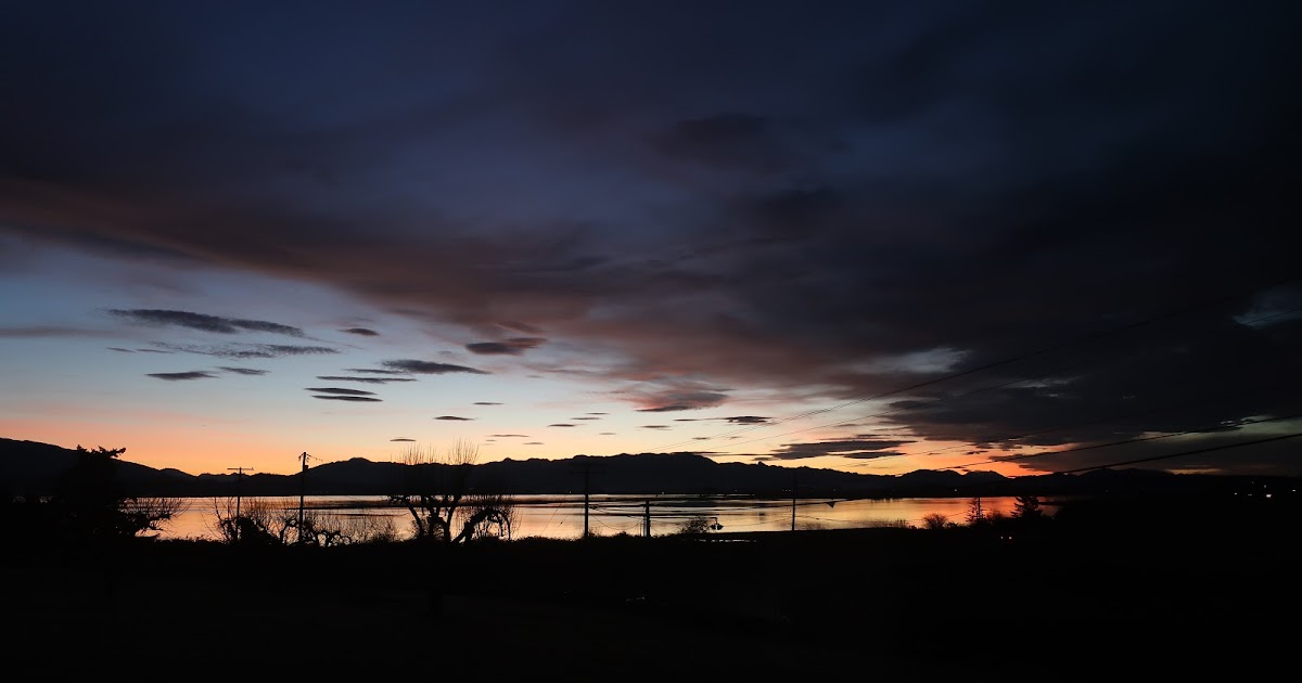 Reading the Washington Landscape: Samish Flats Eagle Tree