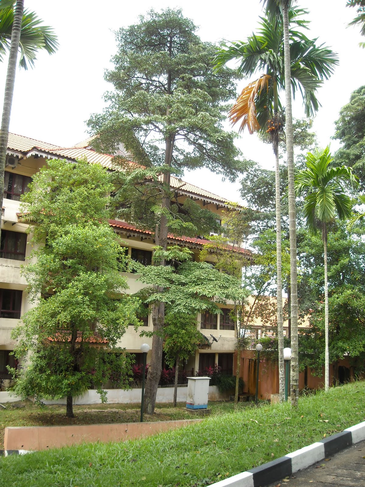 Kuantan Tembeling Resort