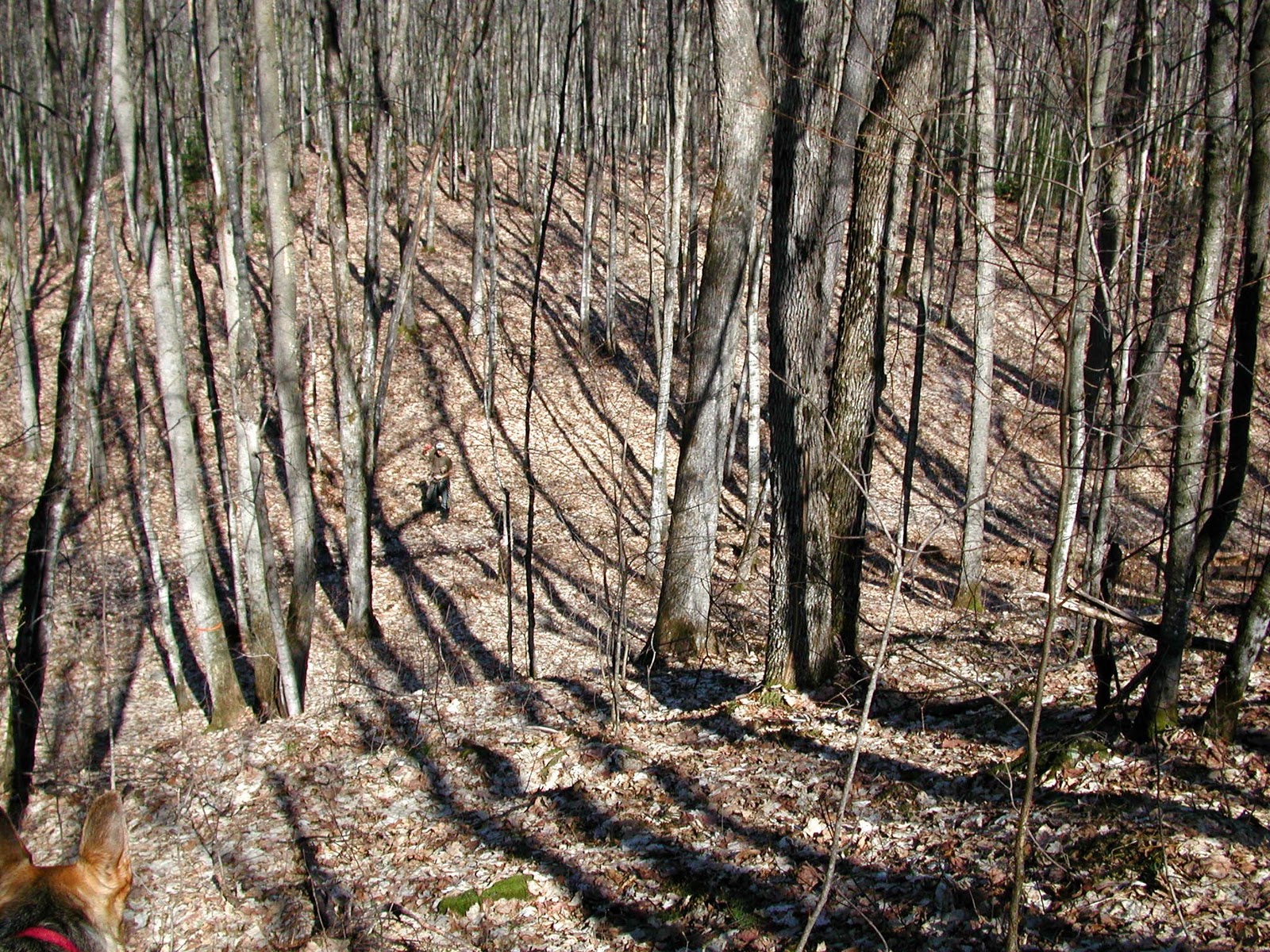 Fern Glen Inn - Seasons and Reasons: 2011