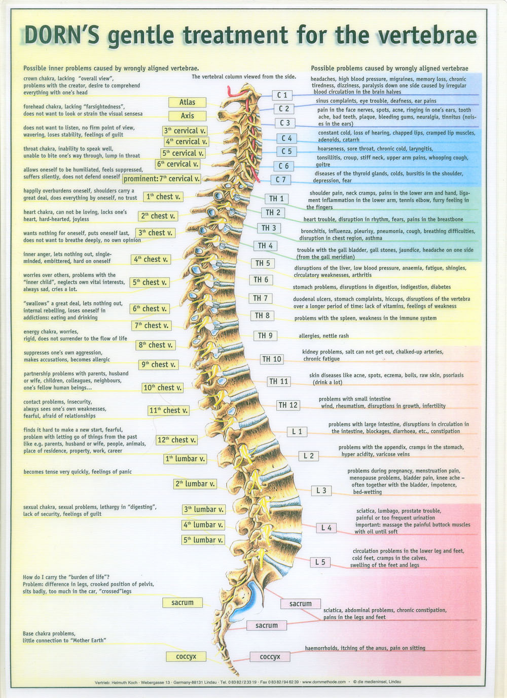 Balance Your Life: SPINAL Alignment Therapy