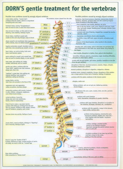 Balance Your Life: SPINAL Alignment Therapy